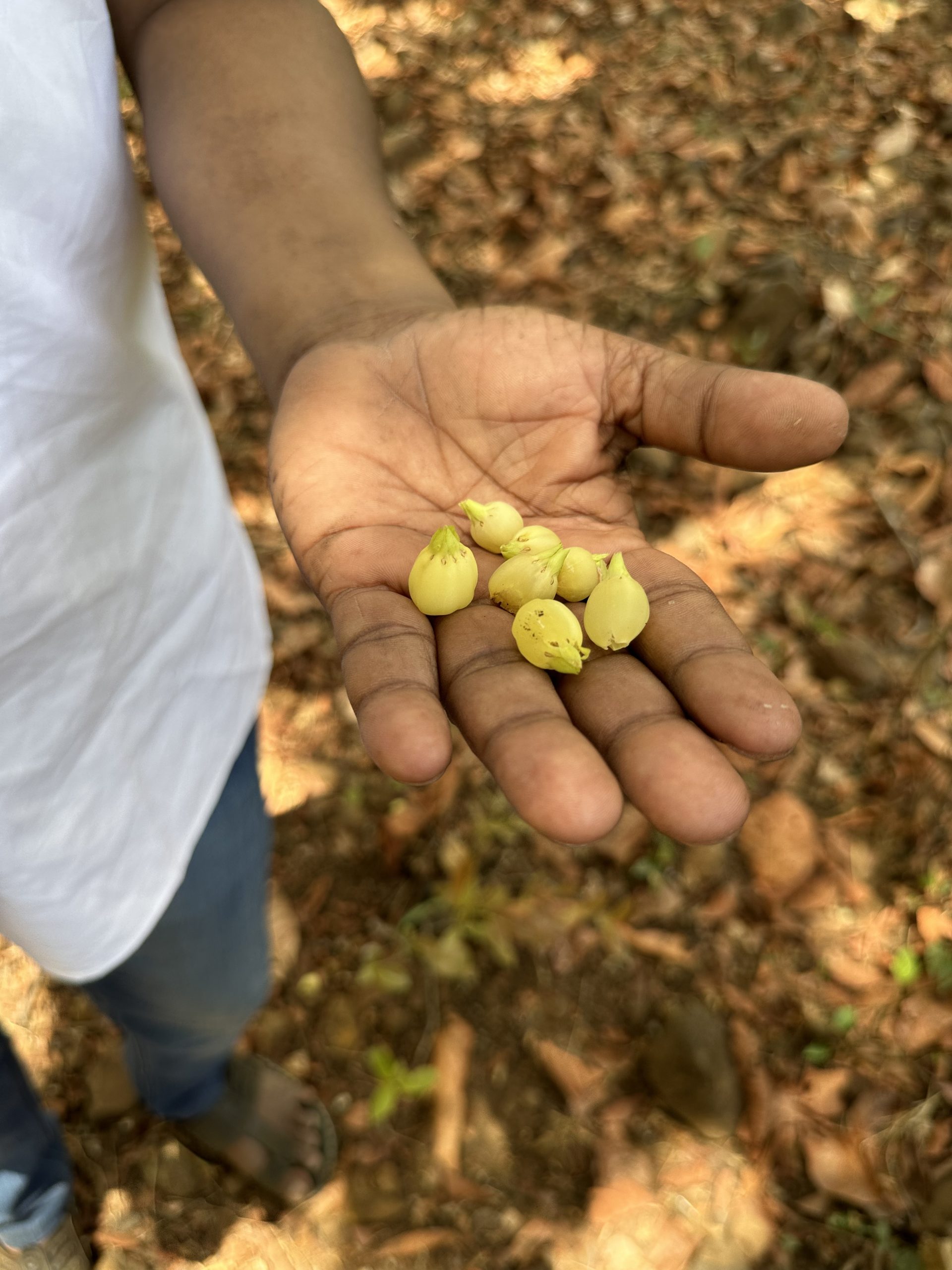 ATLAS students take on rural immersion, discovering the realities and ...