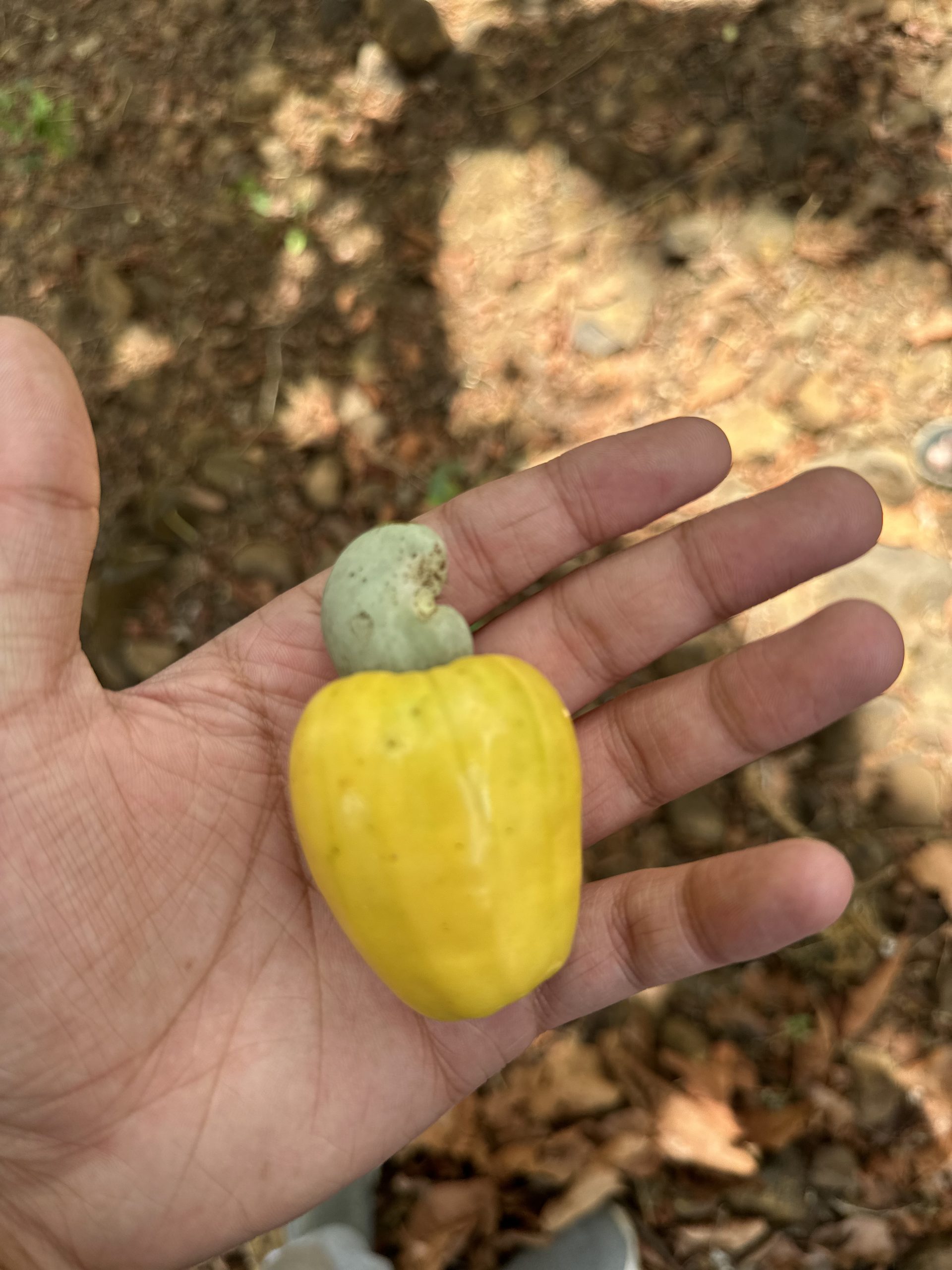 ATLAS students take on rural immersion, discovering the realities and ...