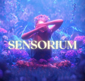 Main Home - Sensorium